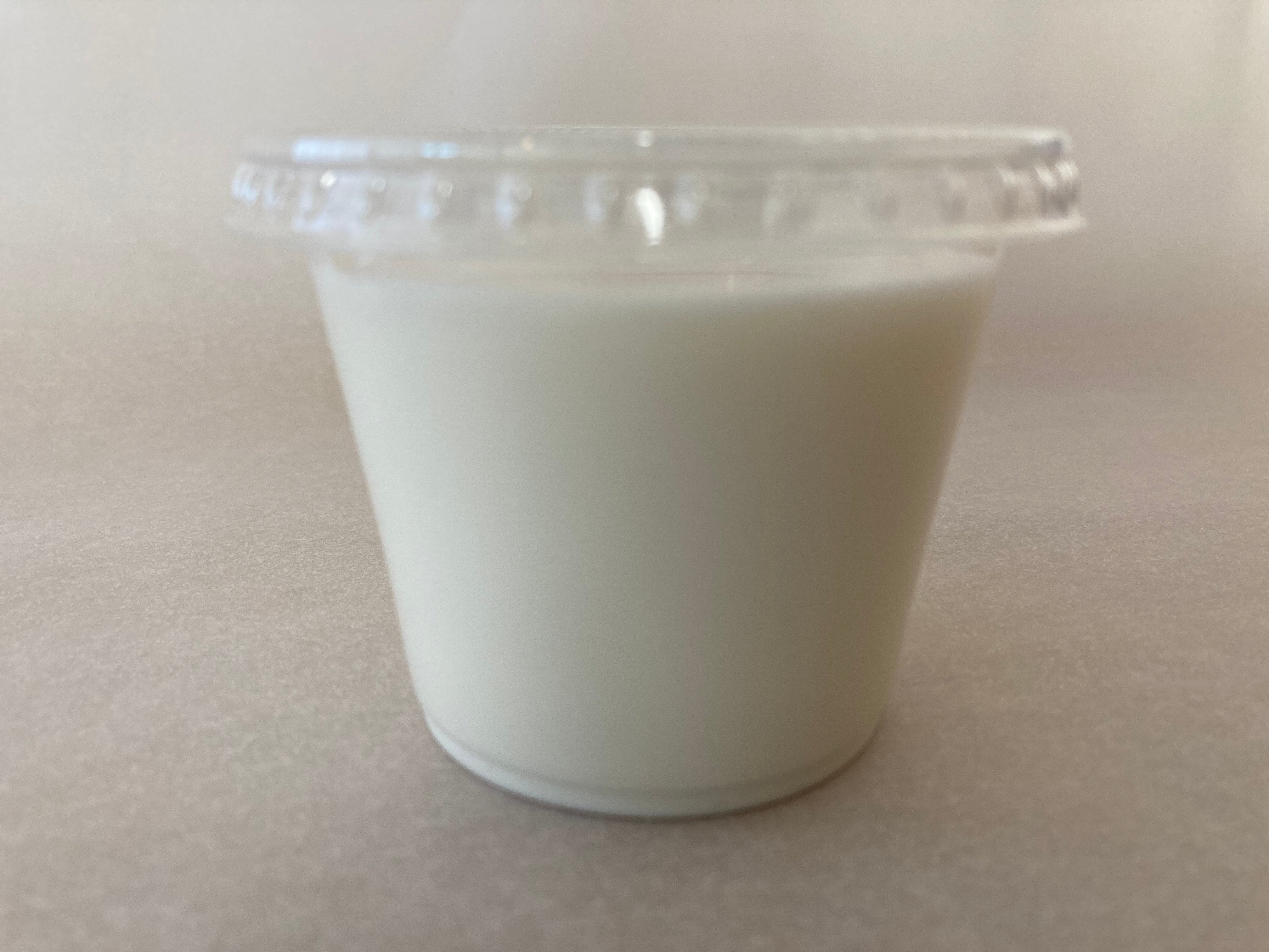 Vietnamese Yogurt (Sữa Chua/Da Ua) (Small) | Bánh Mì Saigon Sandwiches ...